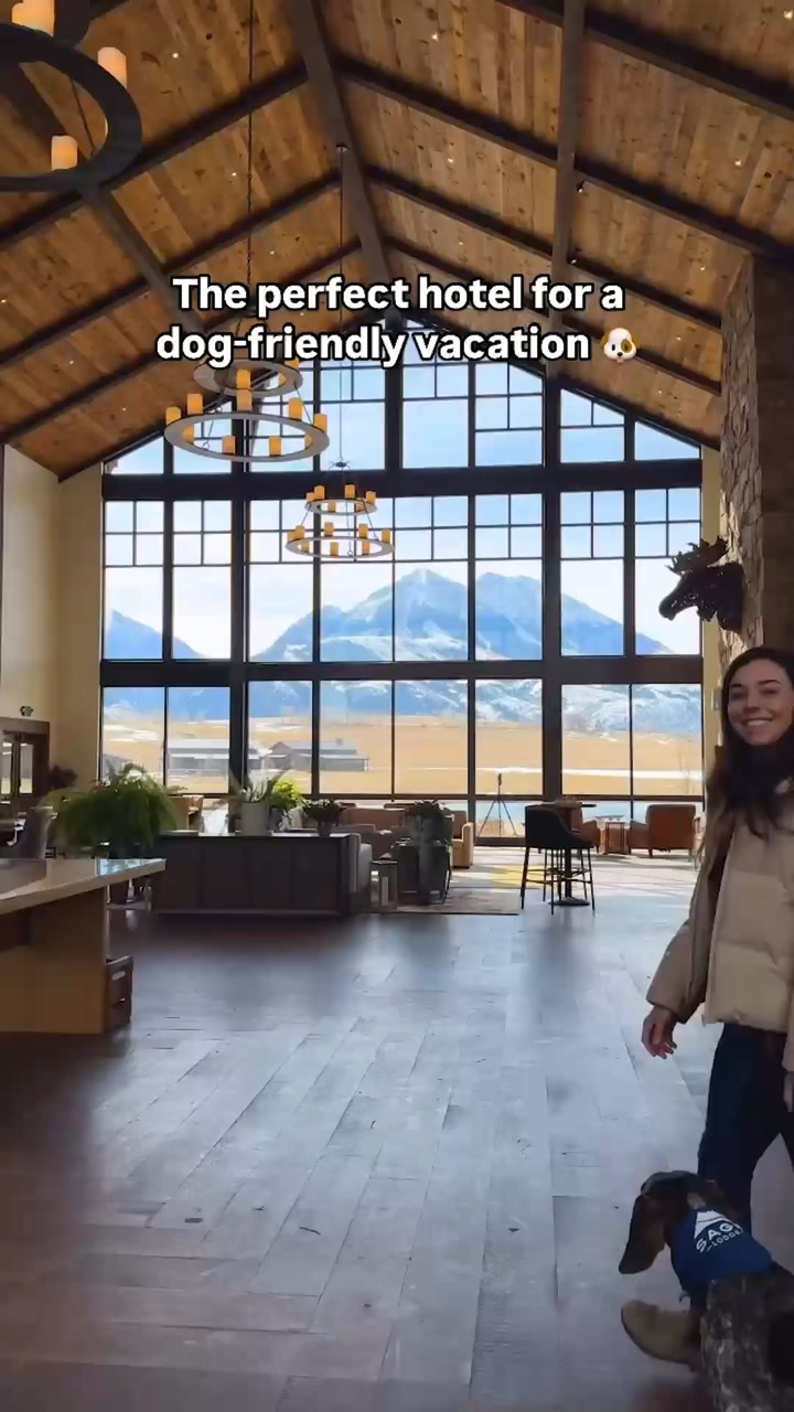 The Perfect Hotel for Dog-Friendly Vacation