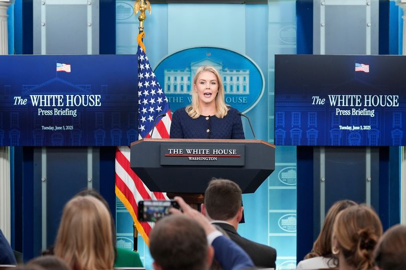 Karoline Leavitt's wild response when asked about FEMA boss not knowing ...