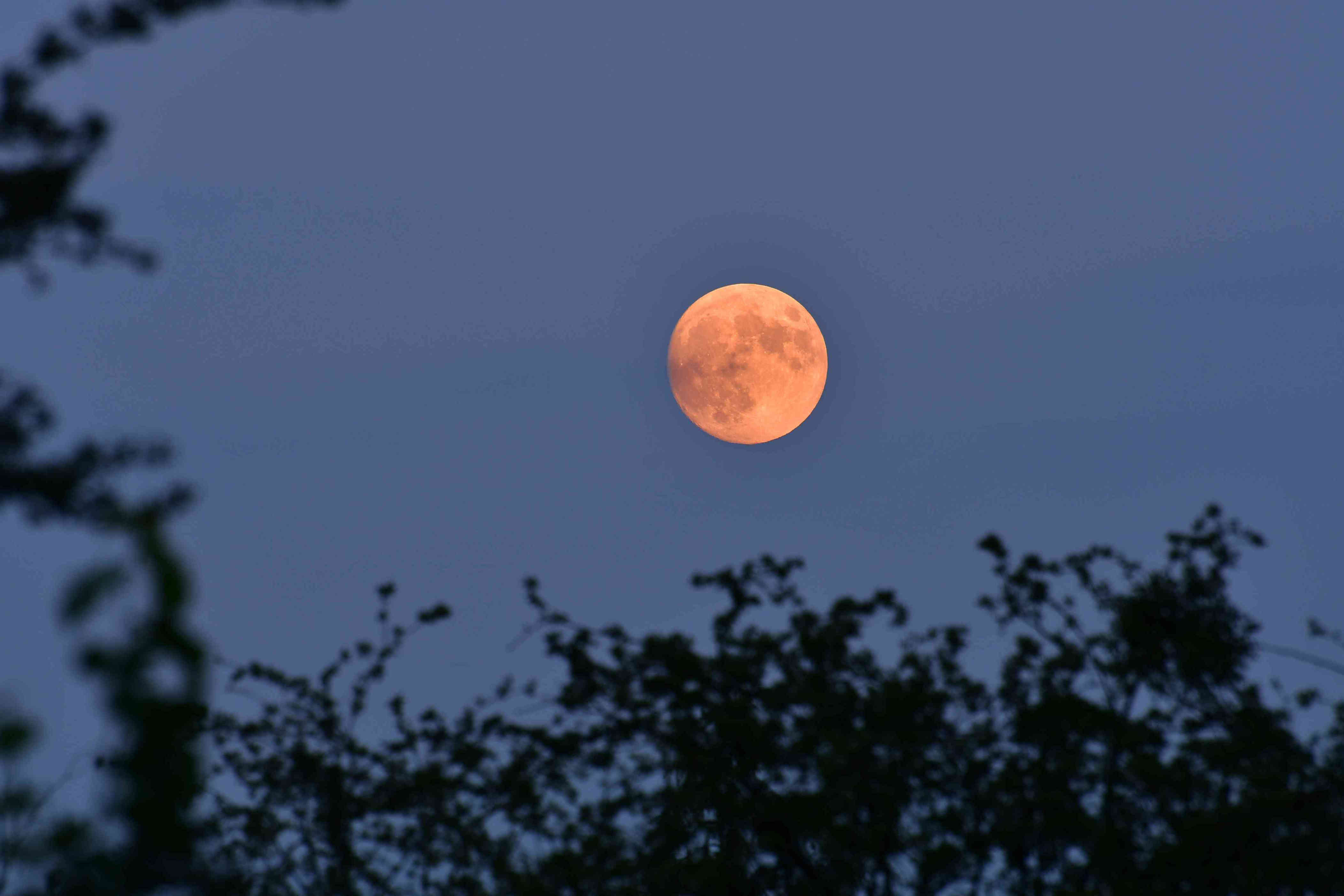 June's Strawberry Moon Will Be the Lowest Full Moon of the Year—Here's ...