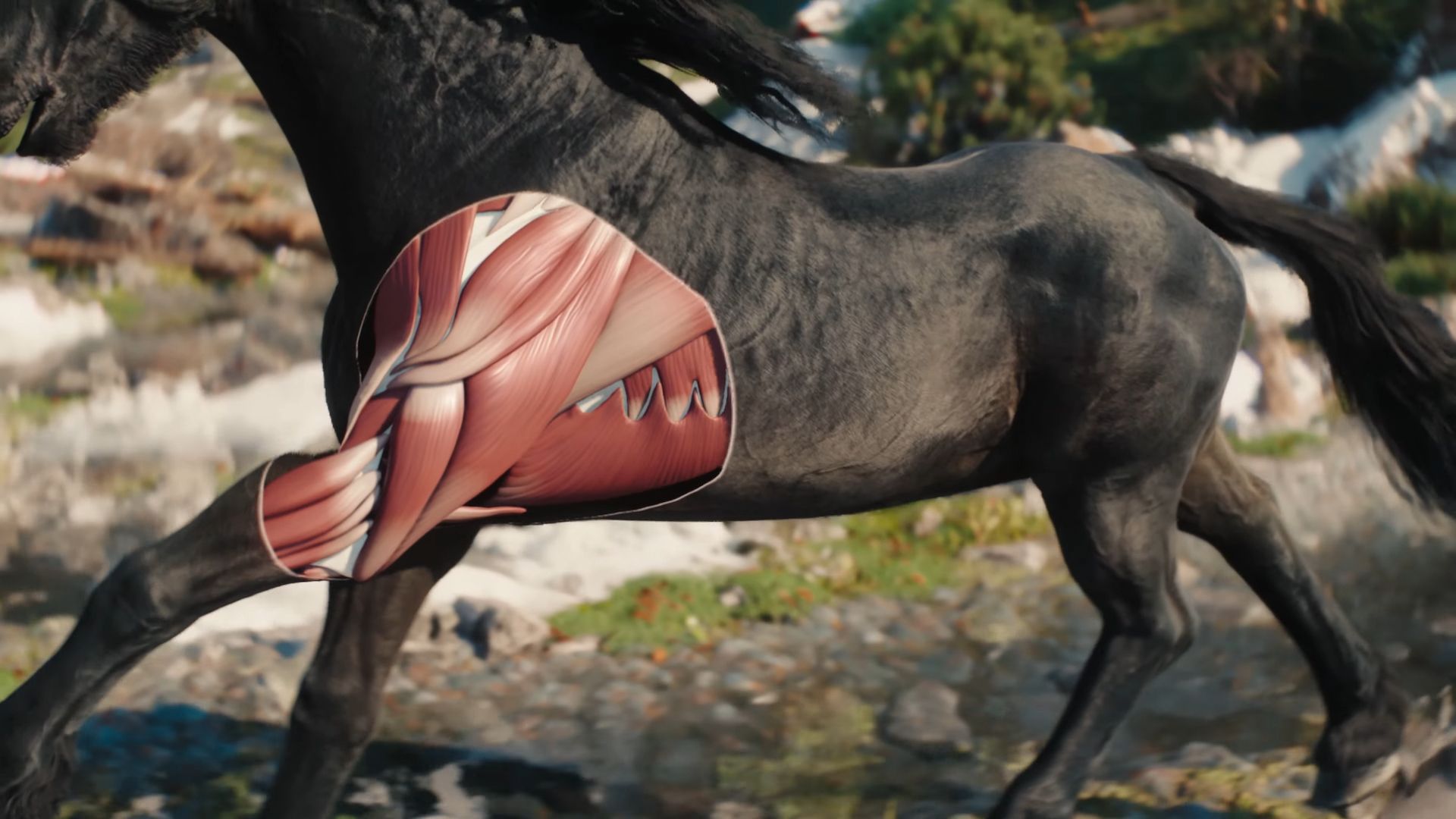 The Witcher 4 sees Red Dead Redemption 2's horse anatomy and submits ...