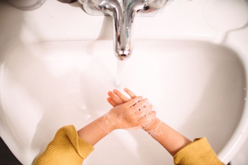 E-Coli symptoms to be aware of after outbreak at Belfast nursery