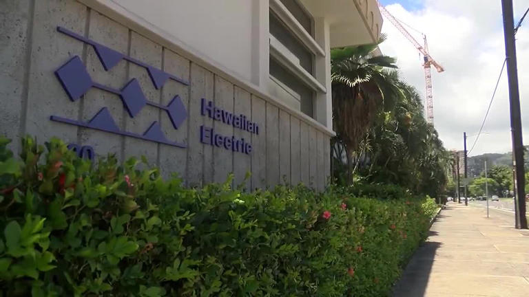 HECO shuts power due to wildfire risk on Hawaii Island