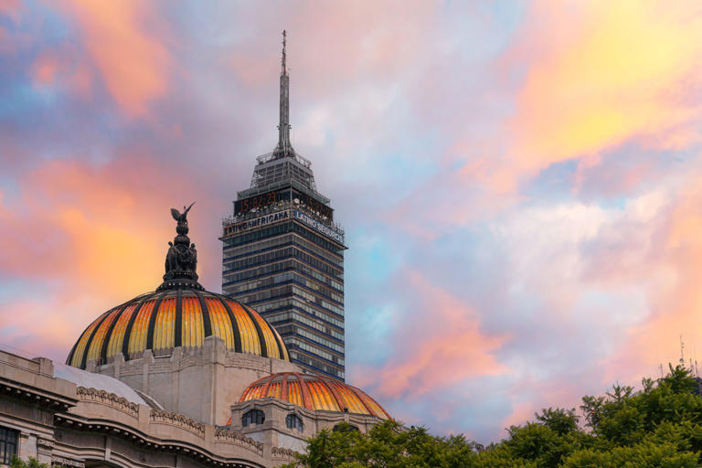 CDC Issues Urgent Advisory As Dengue Fever Cases Surge In Mexico And 19 ...