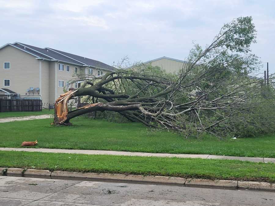 Storm damage in Vermillion, cleanup underway