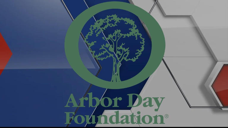 Arbor Day Foundation names Odessa 2024 Tree City USA