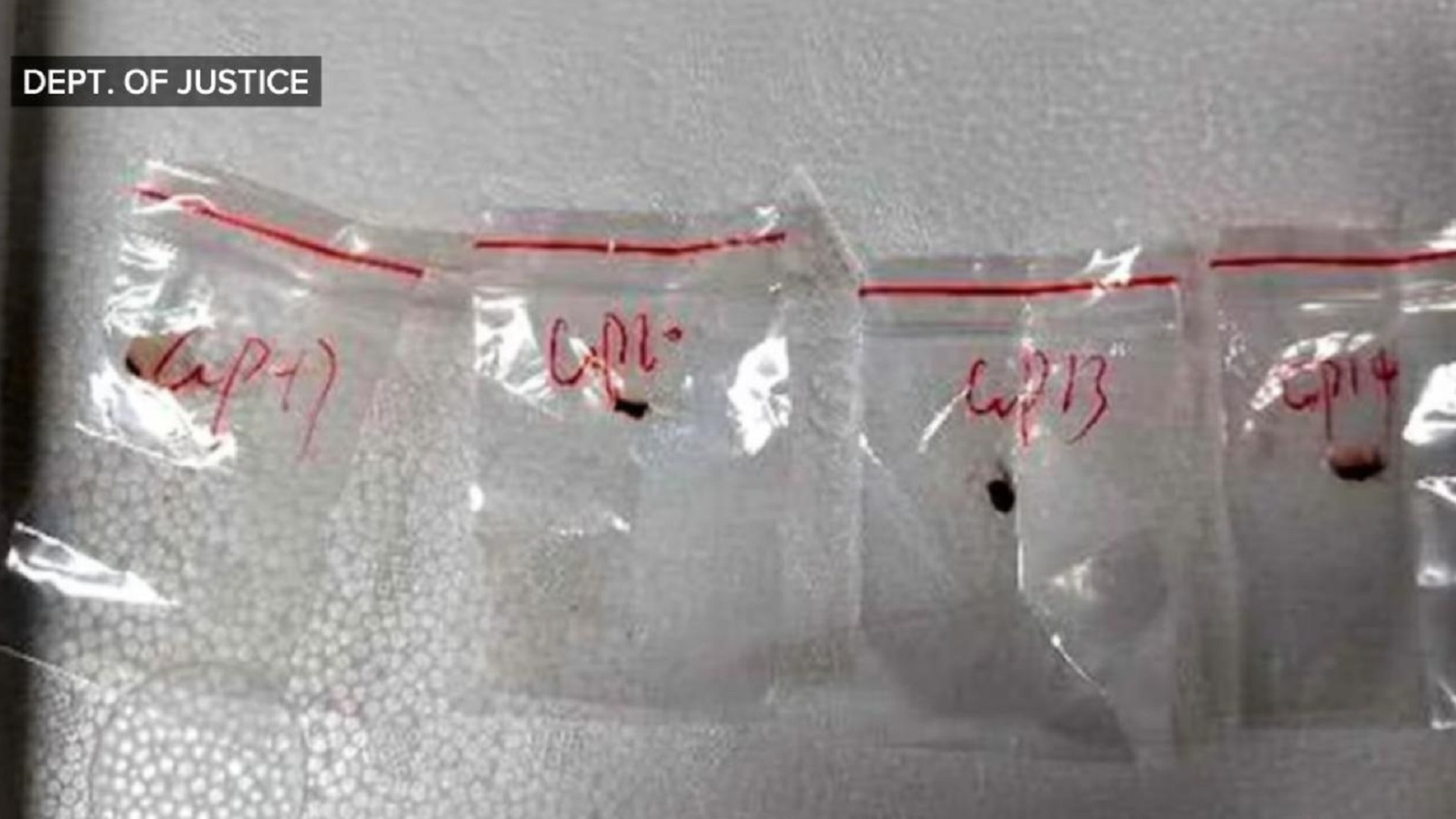 2 Chinese nationals arrested for smuggling ‘potential agroterrorism’ fungus