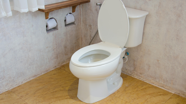 What is the best time to poop as per experts and why