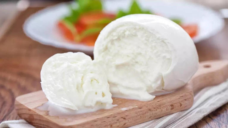 National Cheese Day 2025: Top 6 healthiest cheeses you can indulge in