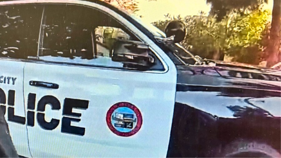 Ex-felon with violent criminal past arrested for armed carjacking in L.A.