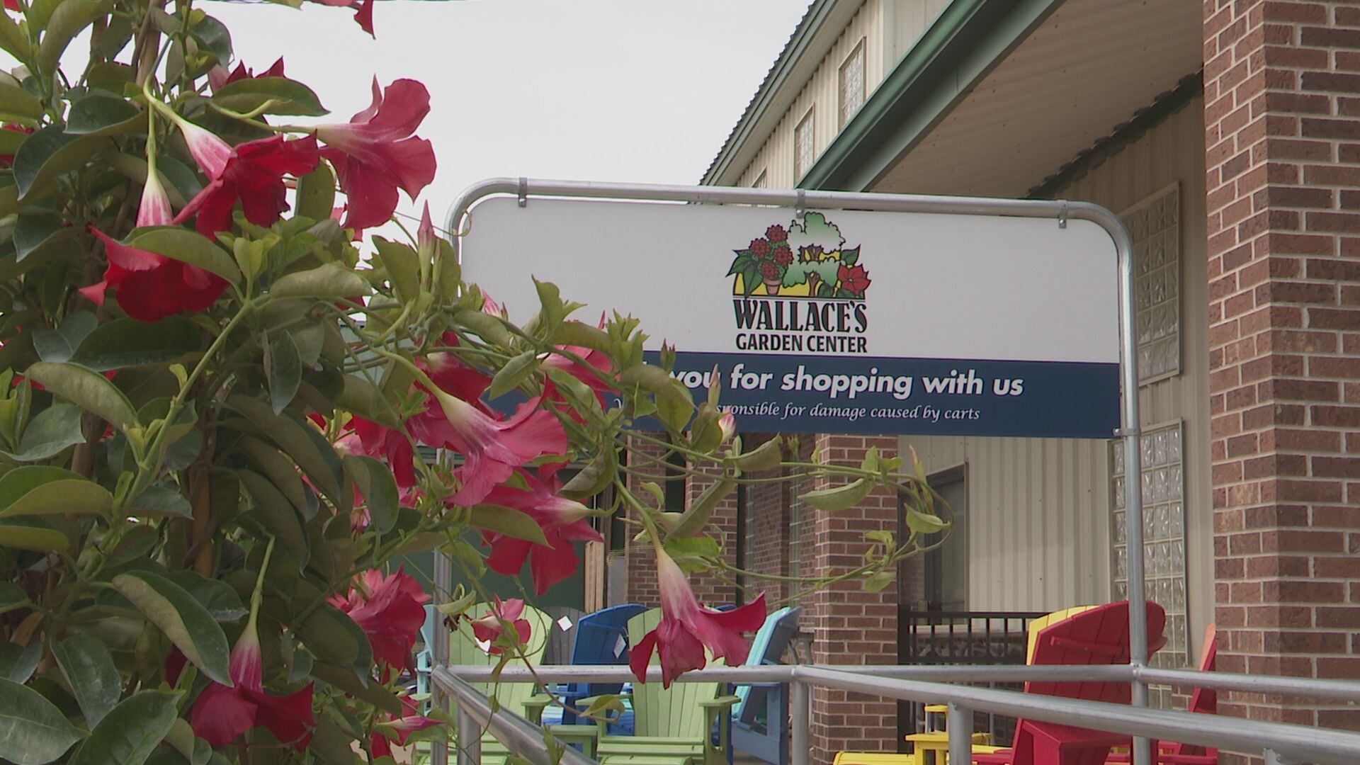 ‘Brought tears to my eyes,’ community support helps Wallace’s Garden ...