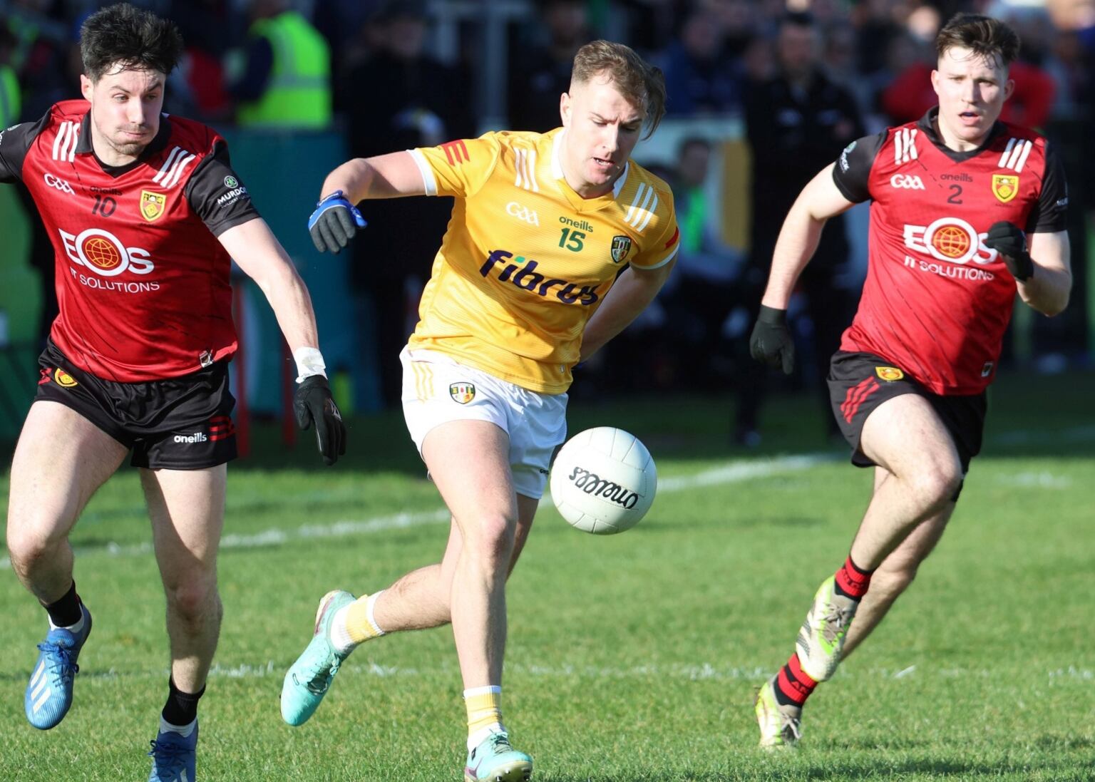 Antrim bow out of Tailteann Cup despite gutsy late fightback in Wexford