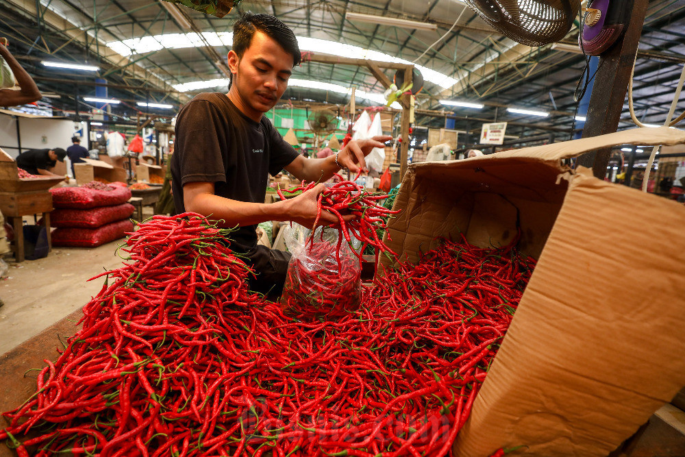 Harga Pangan Hari Ini (4/6): Bawang, Beras, hingga Telur Kompak Turun Harga Pangan Hari Ini (4/6): Bawang, Beras, hingga Telur Kompak Turun
