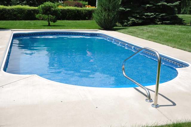 Homeowners terrified as wild animal unexpectedly appears in family pool ...