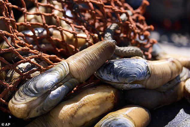 Do you know what is going on in this video? Bizarre clip of woman ...