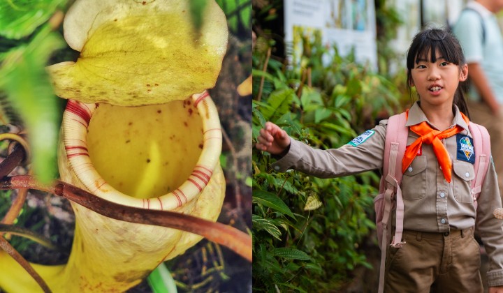 [Photos] How Genting Highlands’ Nature Trails Are Becoming Malaysia’s ...