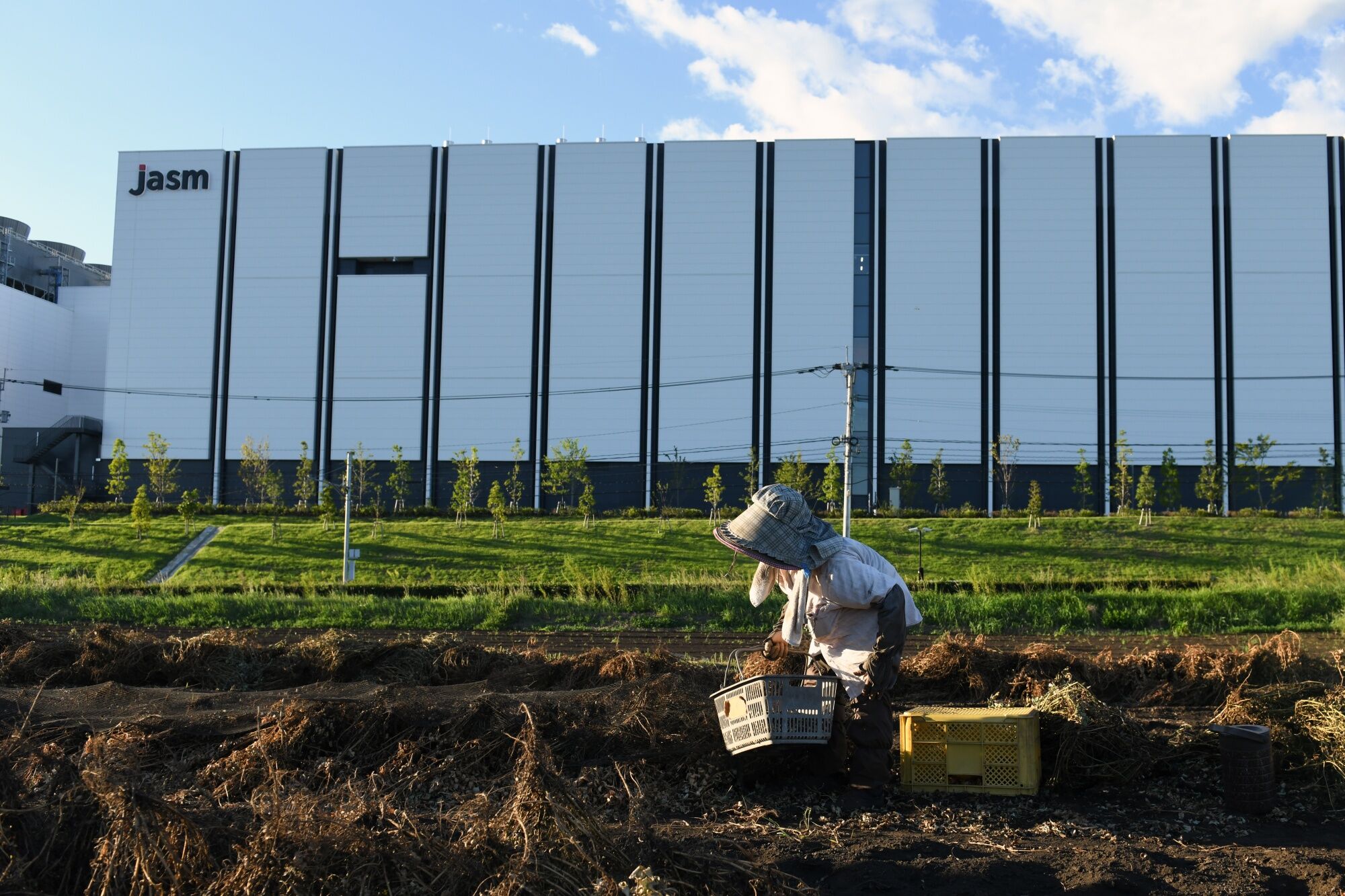 TSMC Flags Delays in Japan Expansion While US Plans Advance