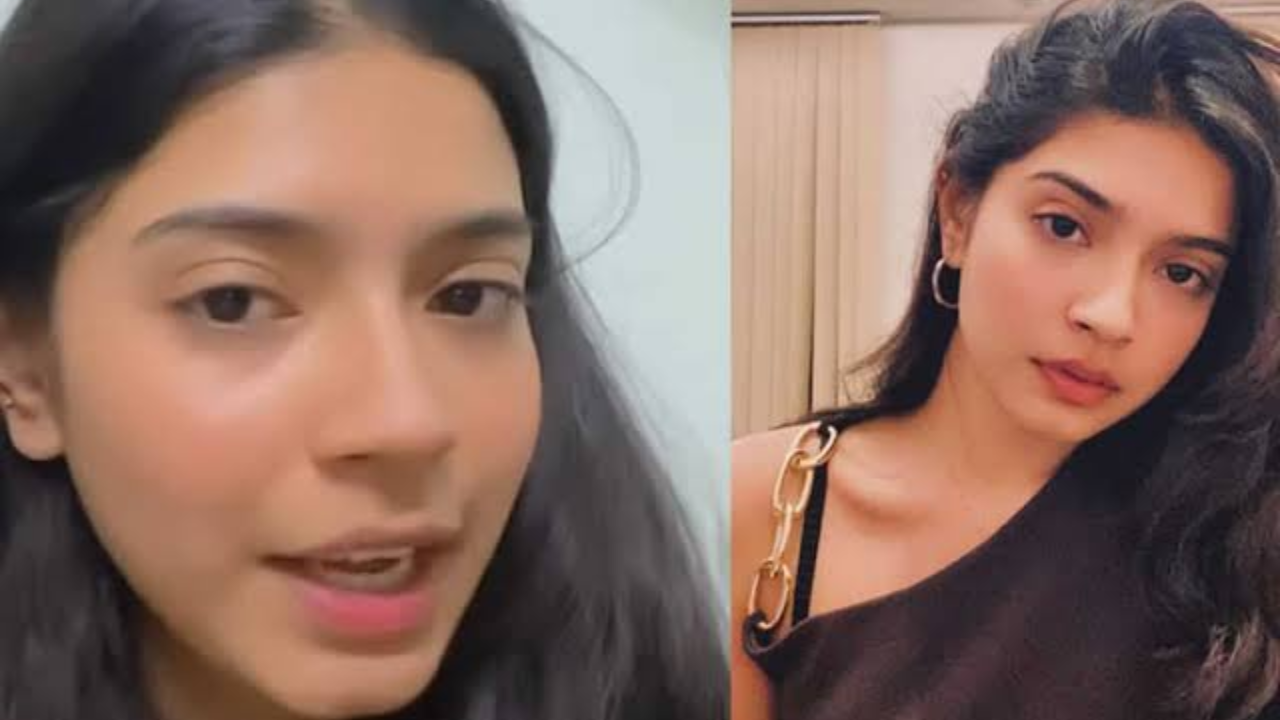 Sharmishta Panoli row: Man who filed plaint against Instagram ...