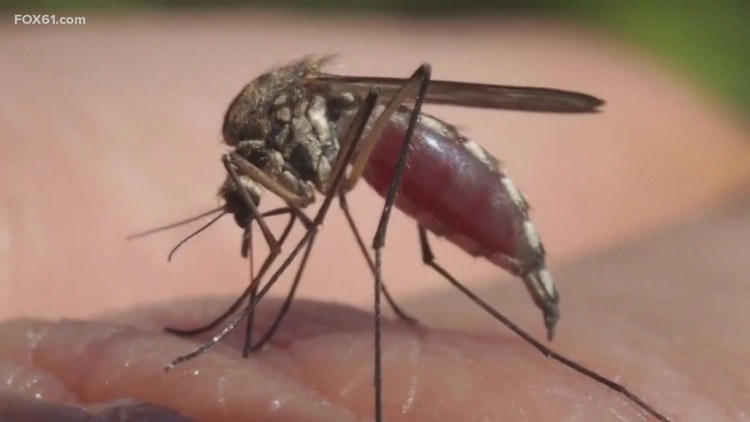 Connecticut Mosquito Management Program resumes seasonal testing for ...
