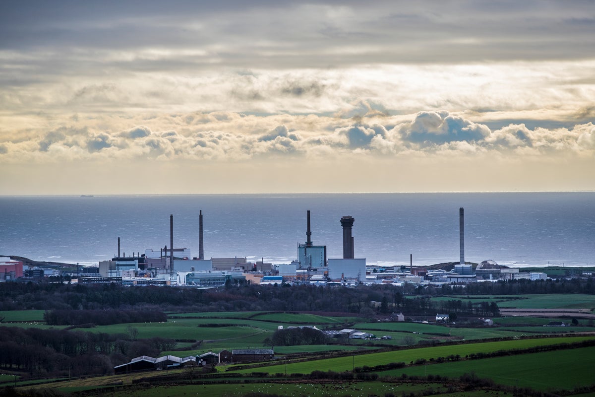 Report lays out ‘failure’ at nuclear power plant