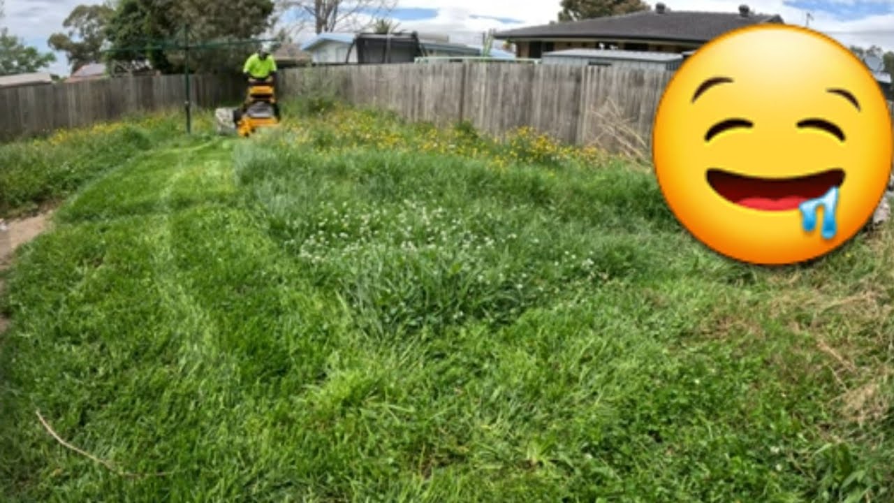 Backyard Meadow Gets a Flawless Mow