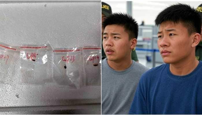 'Agroterrorism Weapon': How Chinese Scientists Smuggled Toxic ...