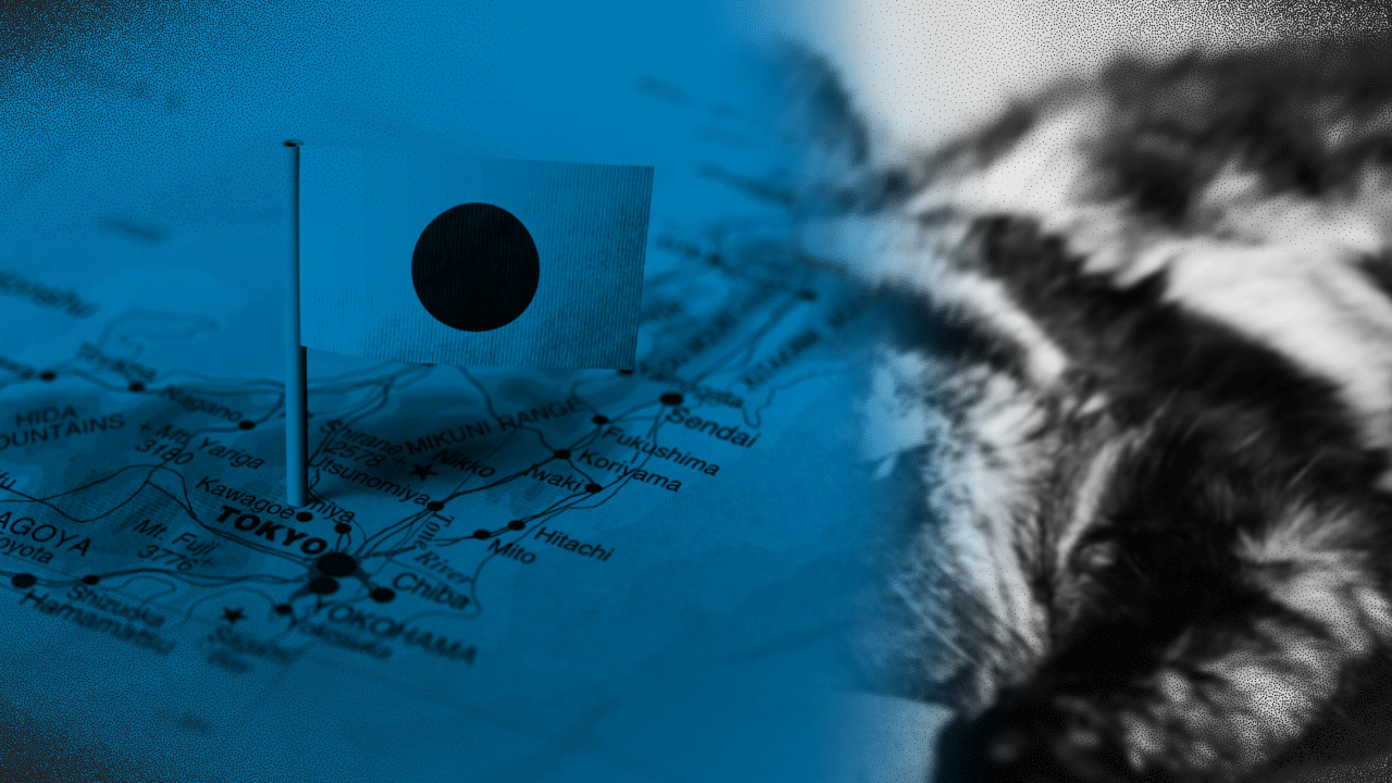 Around 100 dead cats found at Japan woman’s home