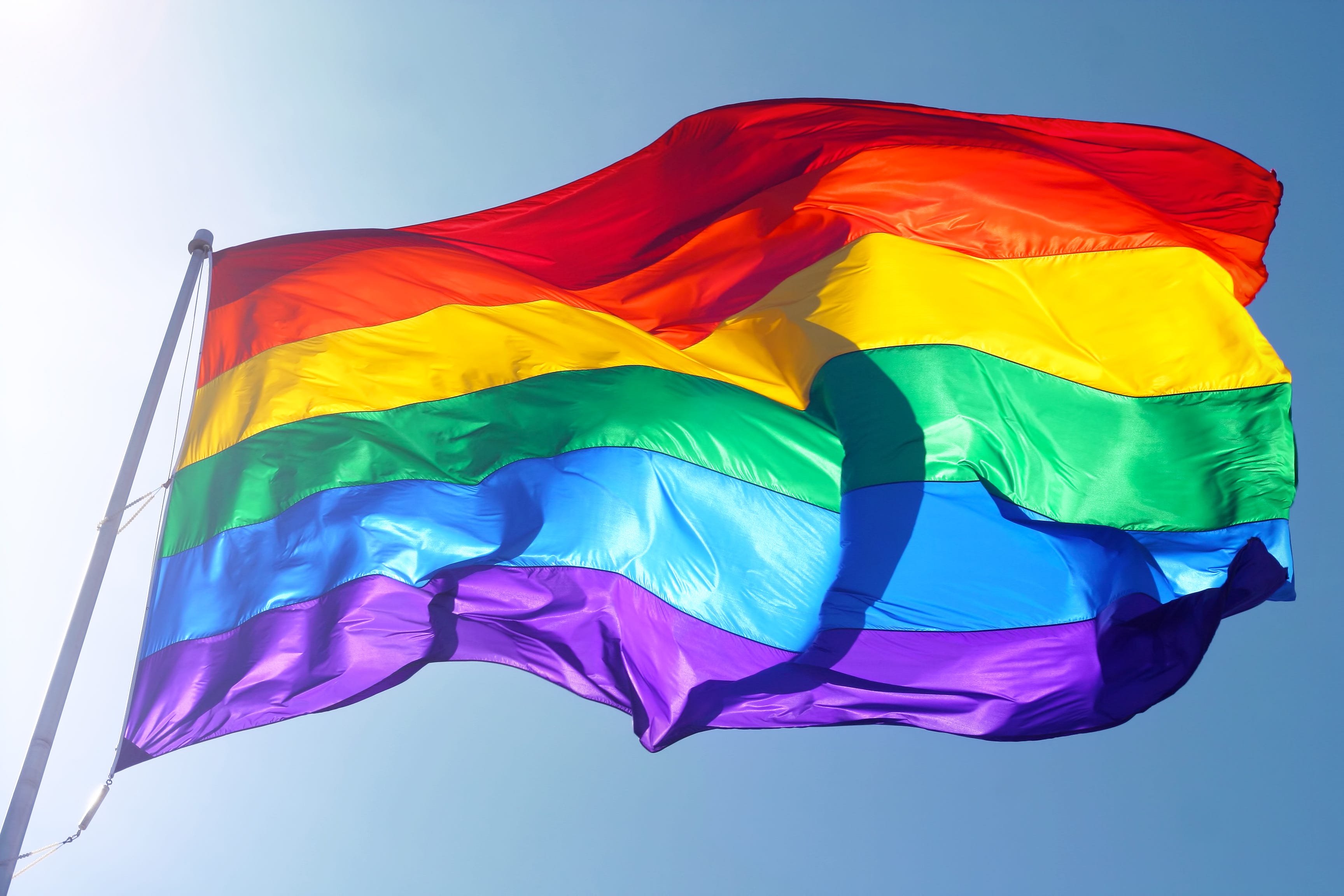 When and where to celebrate Pride Month in Livingston County this June
