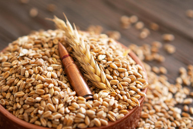 What is agroterrorism? FBI's concern after Chinese nationals caught ...