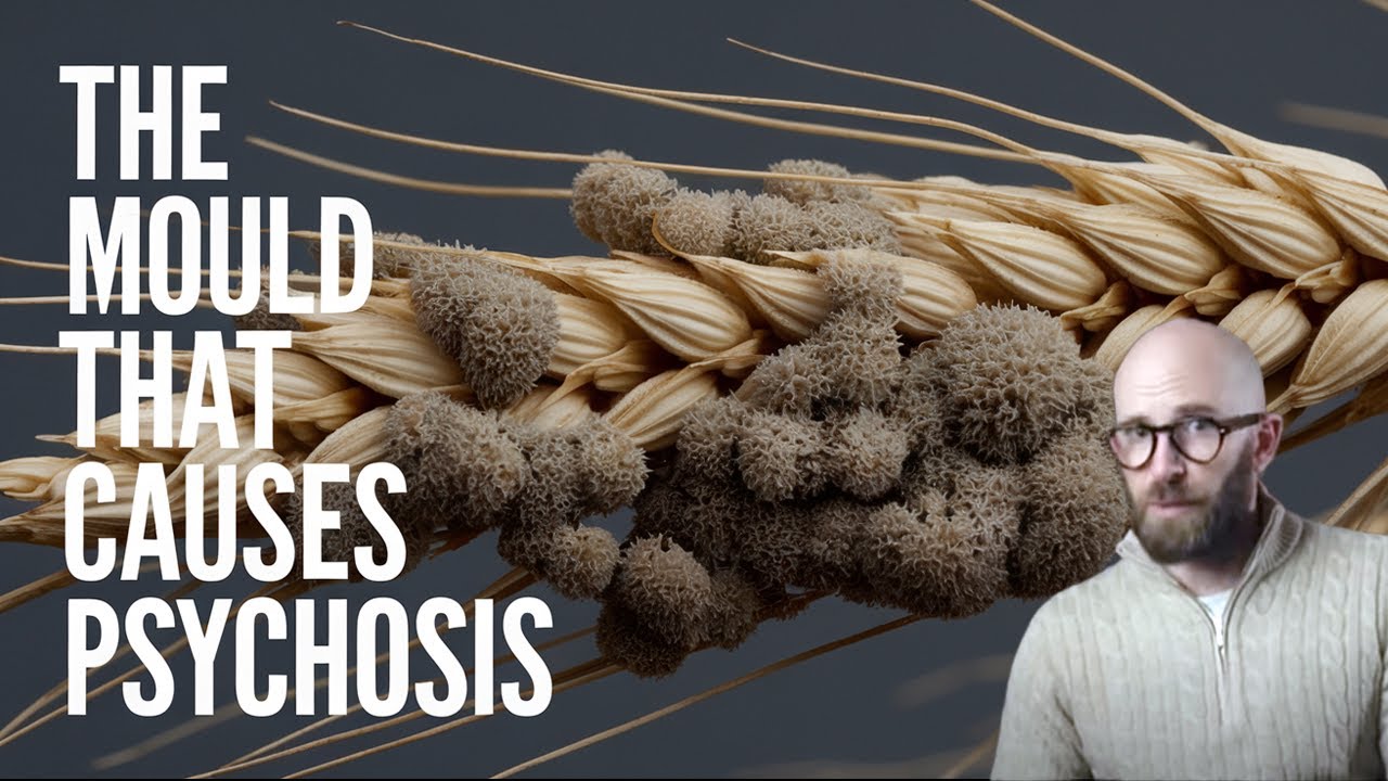 Ergotism: The Real Cause of the Salem Witch Trials?