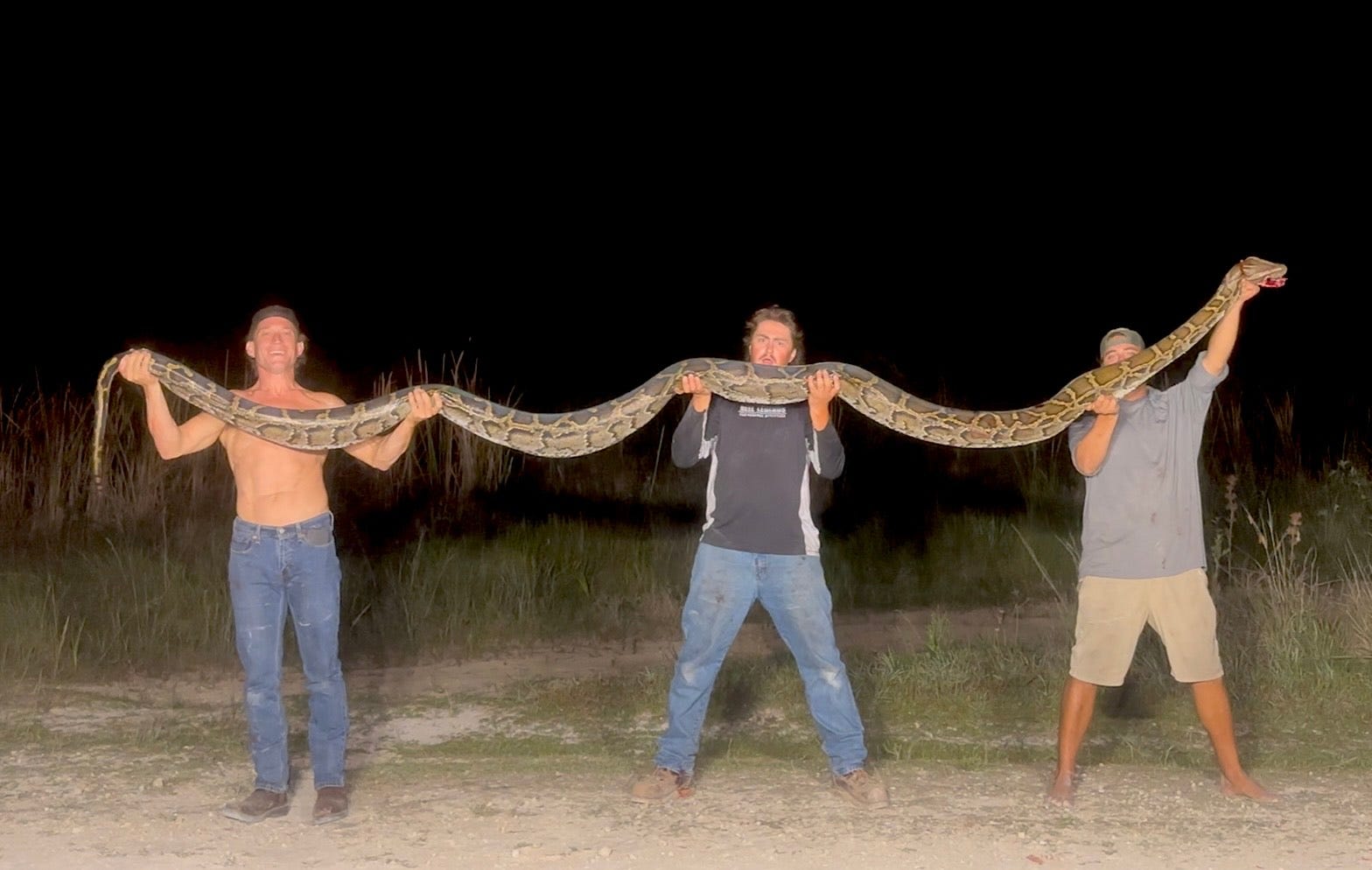3 men catch monster Burmese python in Florida Everglades. Was it ...