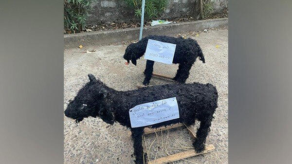 Hindu outfit pitches clay goats for eco-friendly Eid, riles Muslim body