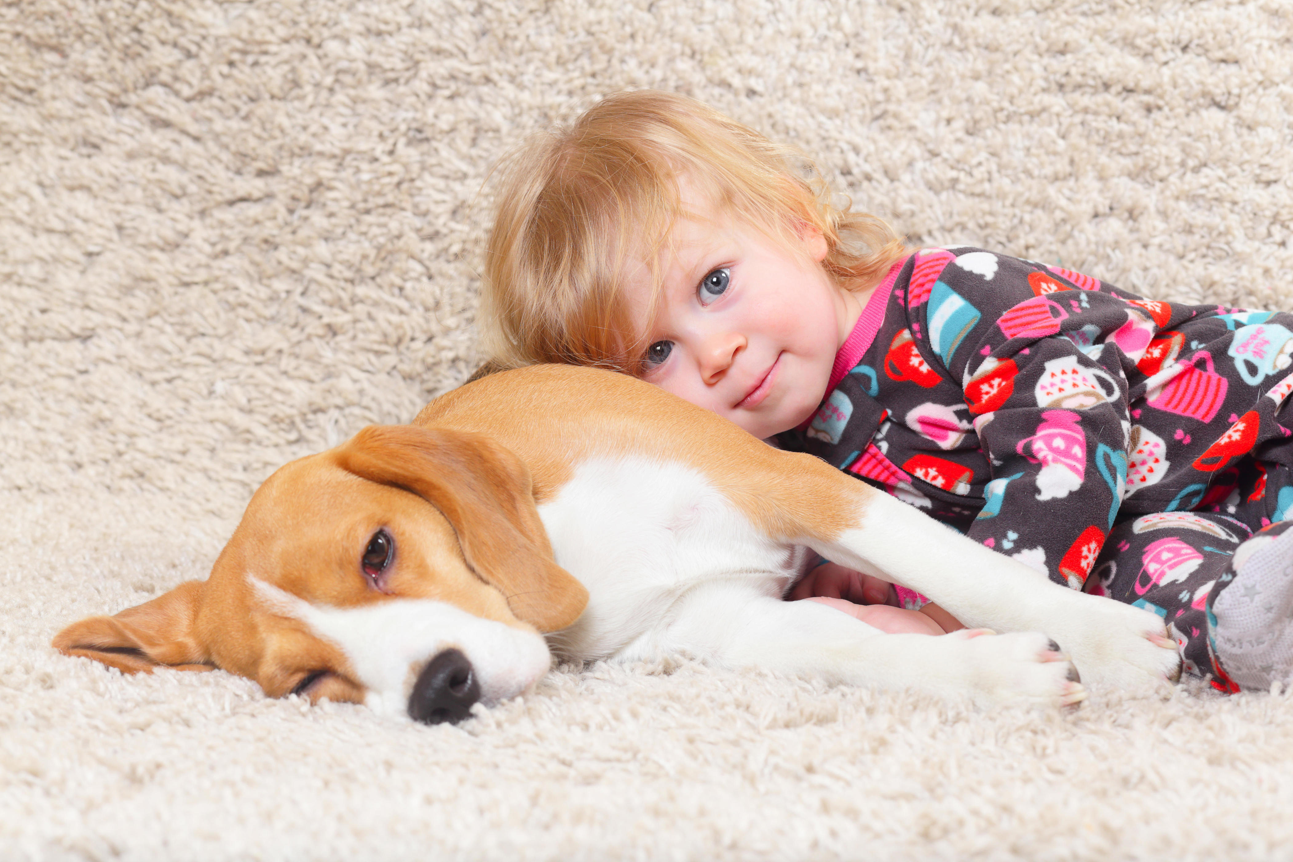A pet dog could potentially prevent eczema in at-risk children – study