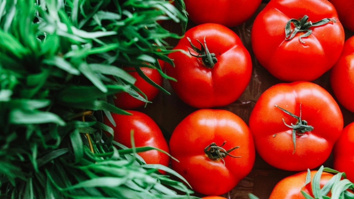 Fresh Alert: FDA Labels Tomatoes in Three States with Highest Safety ...