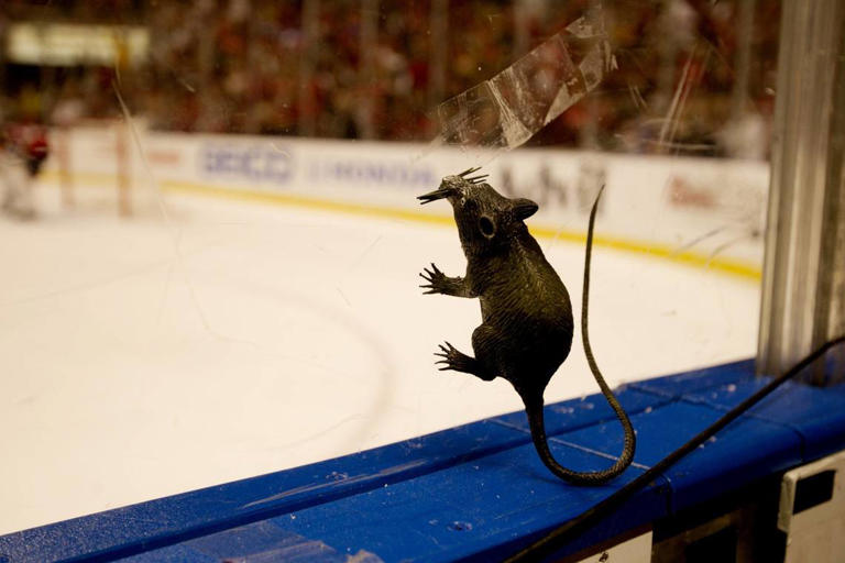 Why do Florida Panthers fans toss rats on the ice? Here's how it all ...