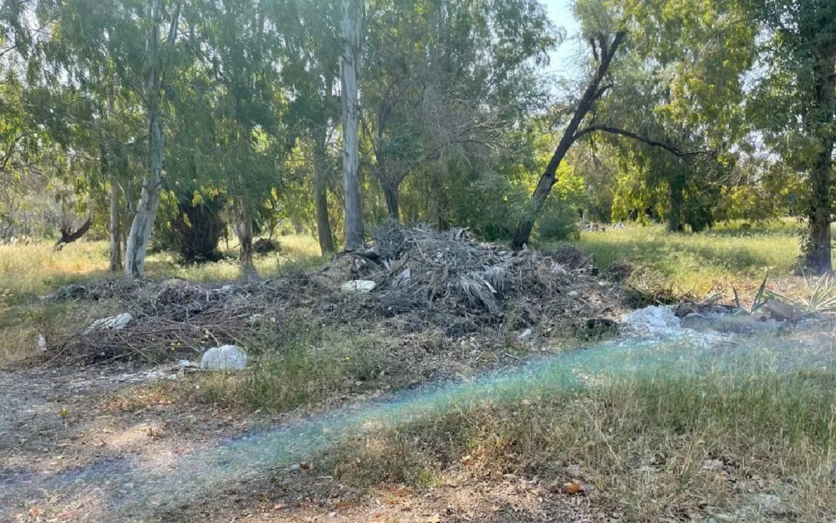 Σύλλογος Παραλίας Καμαρών προς Δήμο Αιγιαλείας και Πυροσβεστική: Στην ...