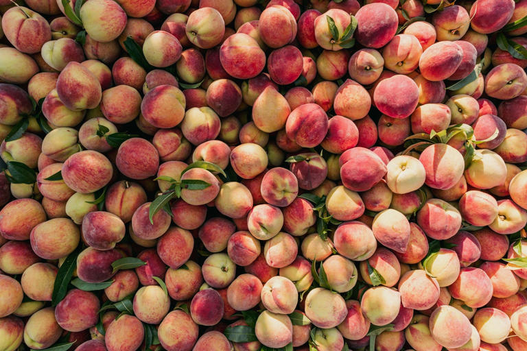 Is Tree-Ripe Fruit Co.’s Peach Stop Truck coming to Sheboygan and ...