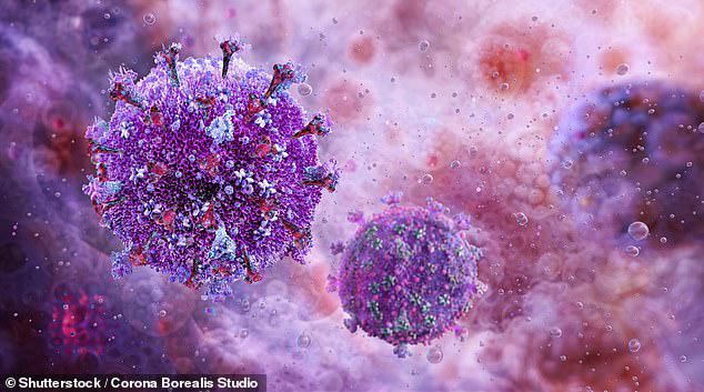 Virus which 'causes multiple organ failure' found at popular Spanish ...