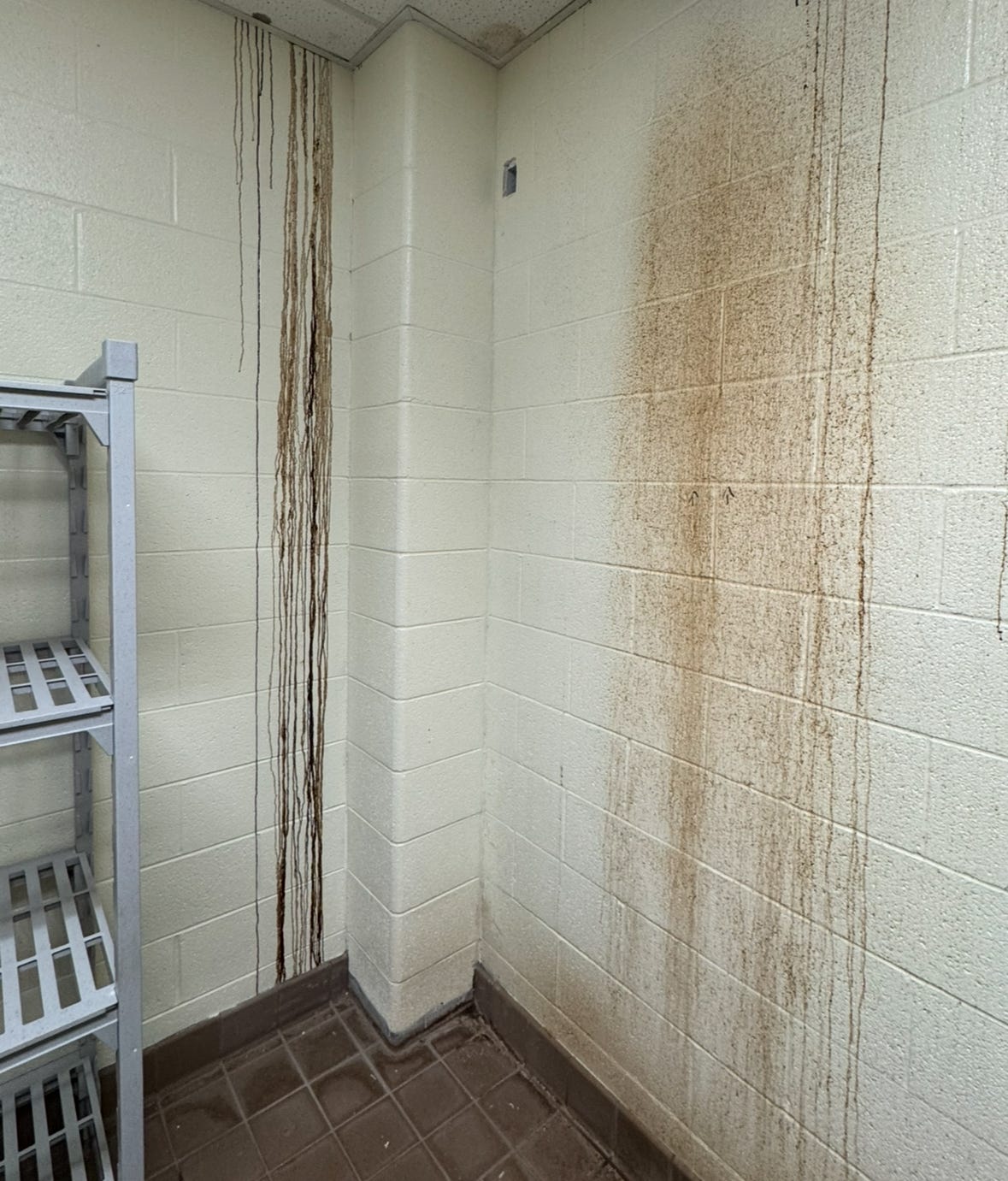 What's causing the slimy brown walls inside a Wilson County elementary ...