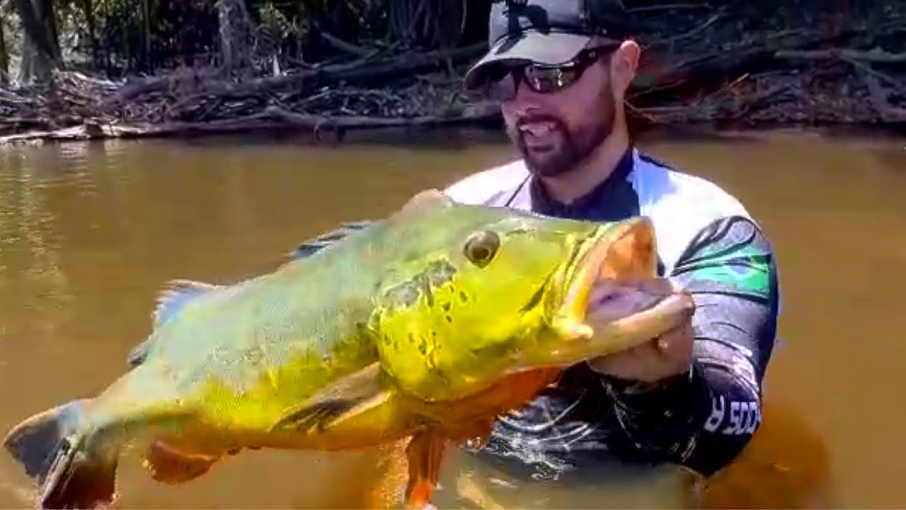 Fishing the Amazon: One for the record books