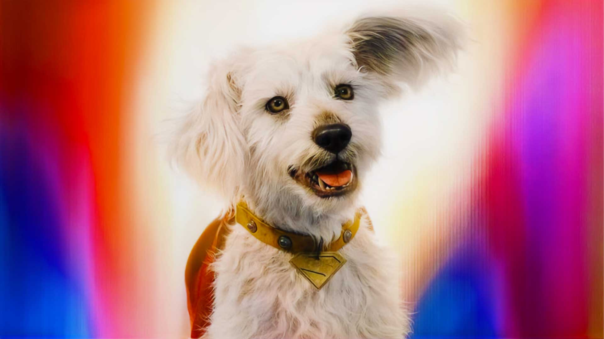 The 8 Best Superhero Dogs of All Time (Yes, Krypto’s on the List)