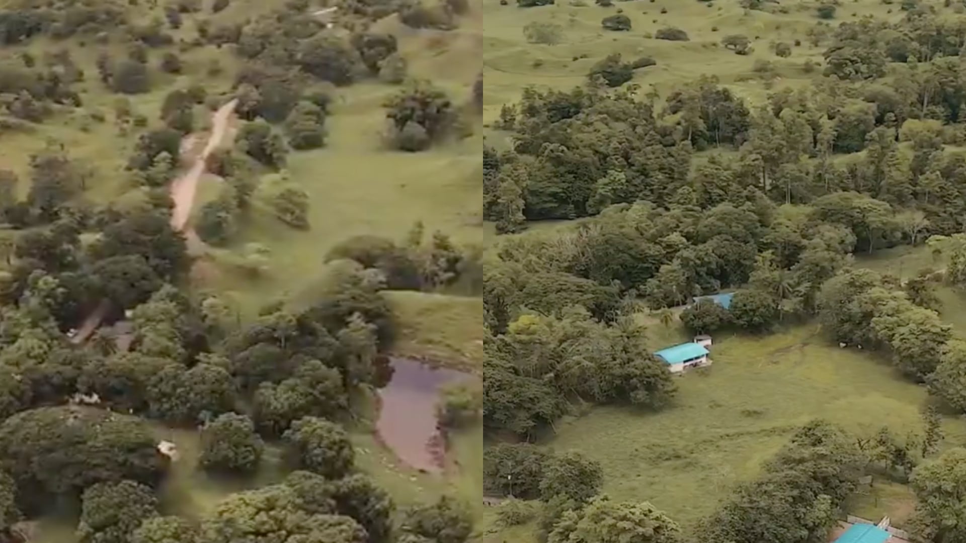 Video: Gobierno Nacional entregó a campesinos las tierras en las que ...