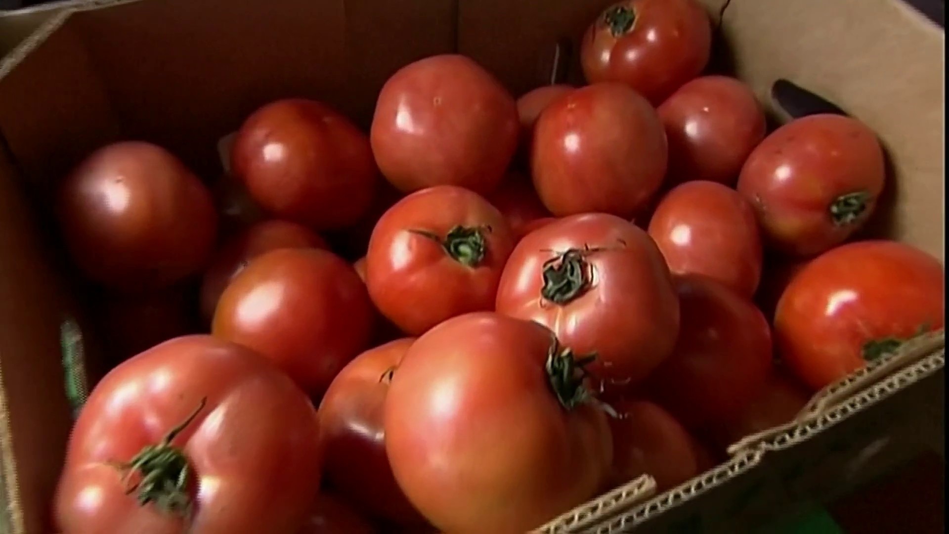 FDA Elevates Tomato Recall to Its Highest Warning Level