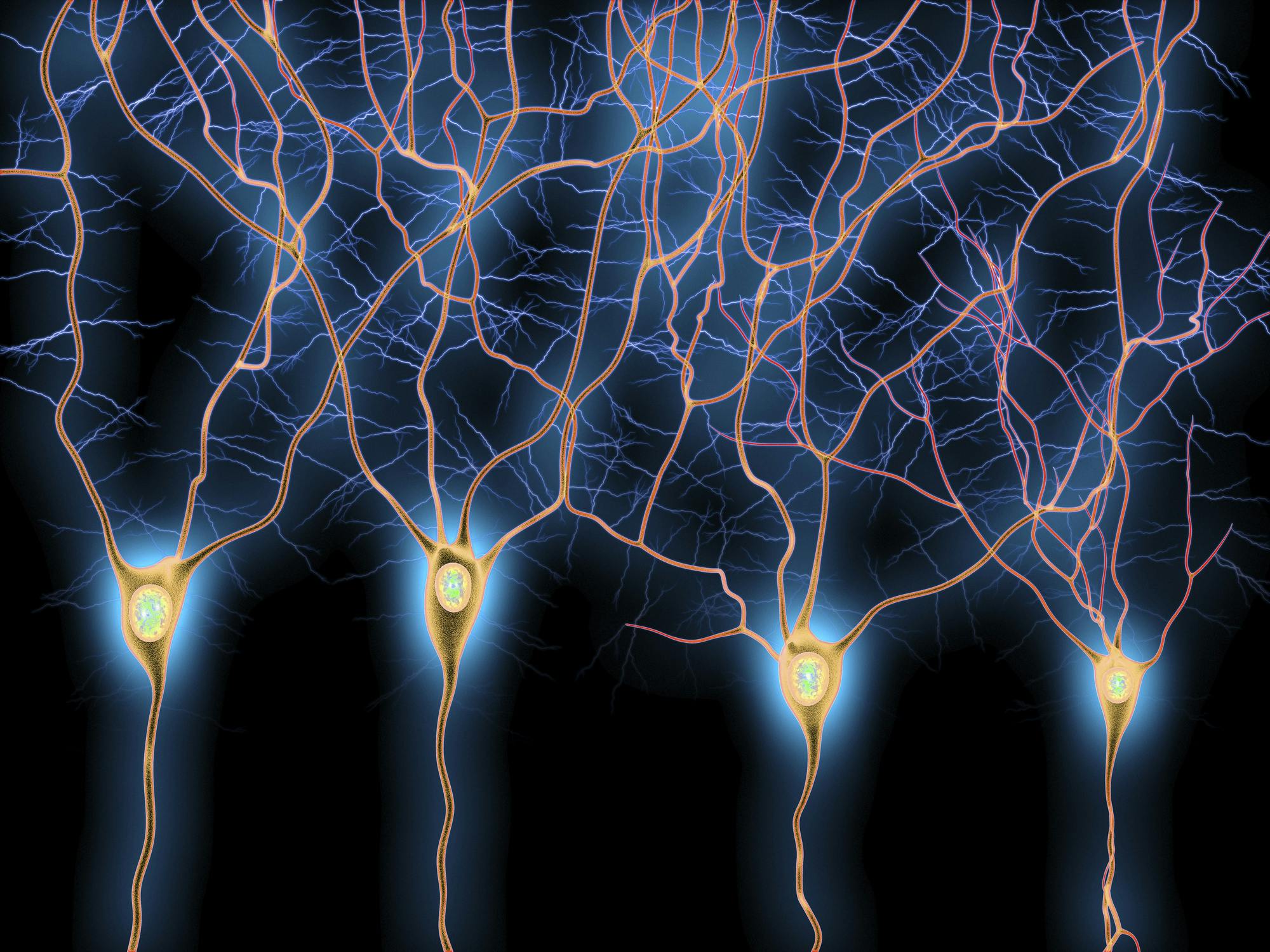 Memories of the good parts of using drugs can keep people hooked − ...