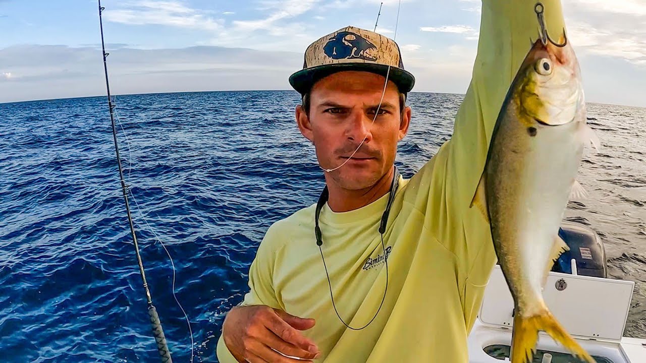This trick makes snapper swim straight in