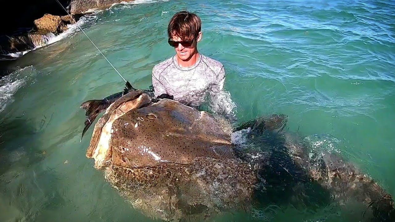 Record-Breaking Land Catch: Giant Fish Hooked!