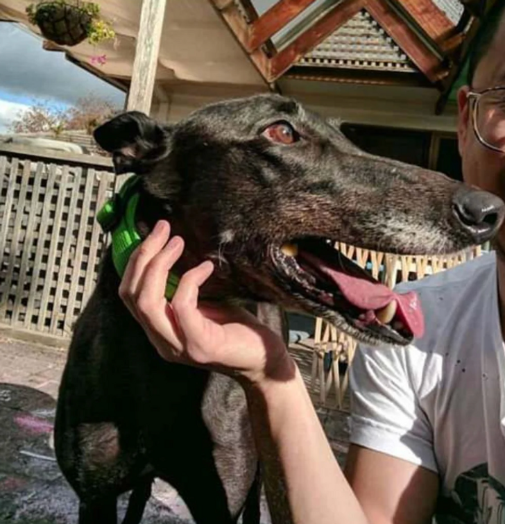 What Do You See? These 15 Confusing Photos Will Challenge Your Brain