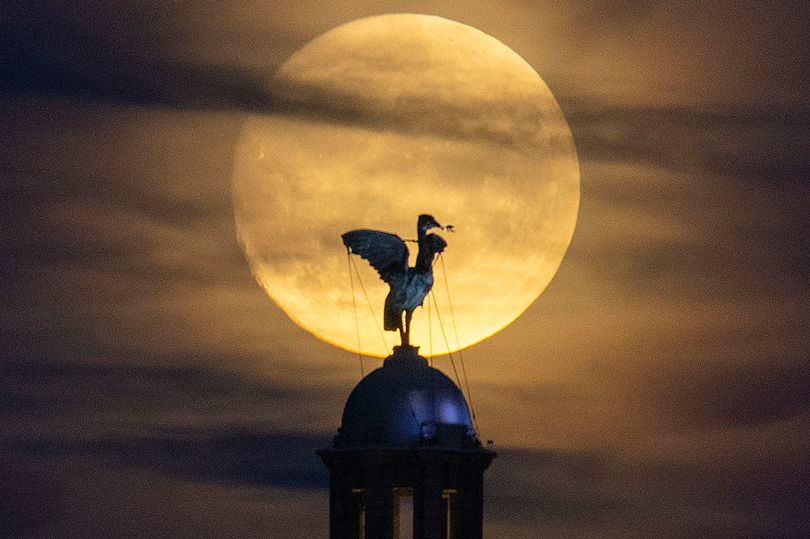 'Strawberry moon' to light up the sky this month - exact time and date ...