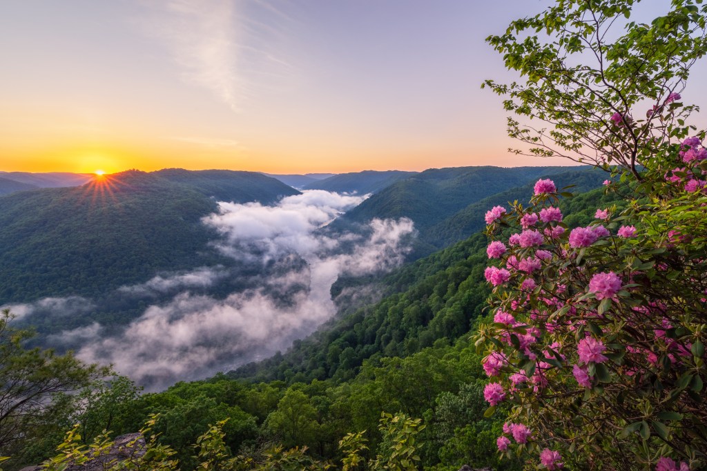 15 Curiosity Moves Every Man Needs To Know