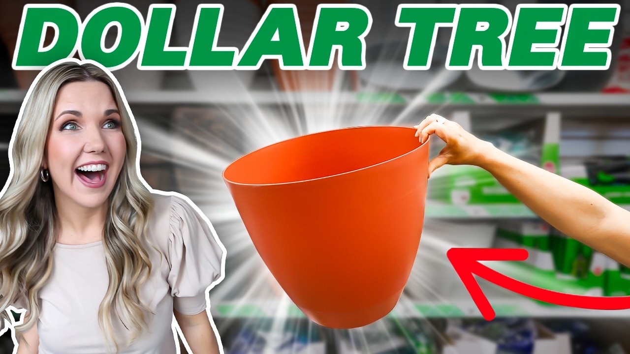 Elevate Your Home Décor with Dollar Tree Planters