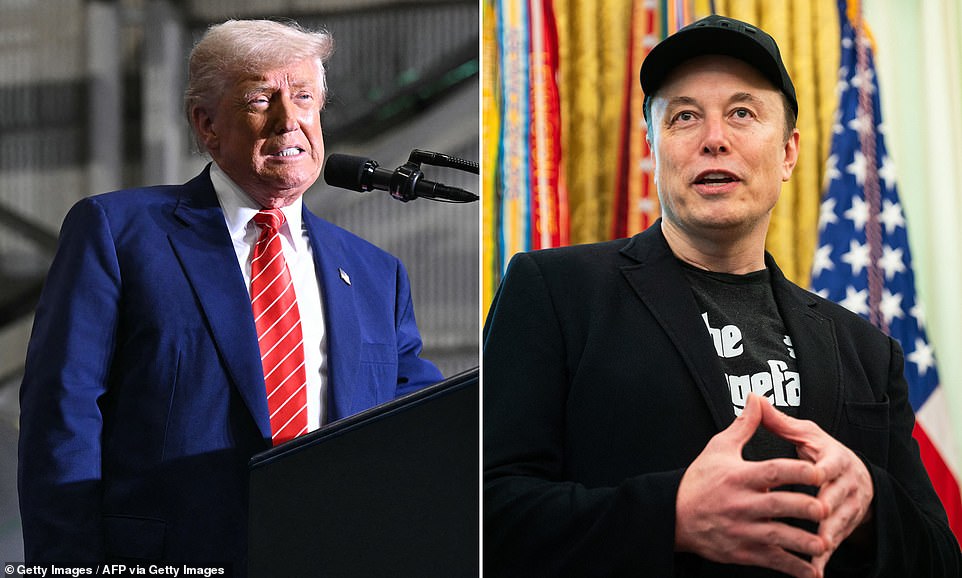 Trump allies side with Elon Musk on fiscal spending